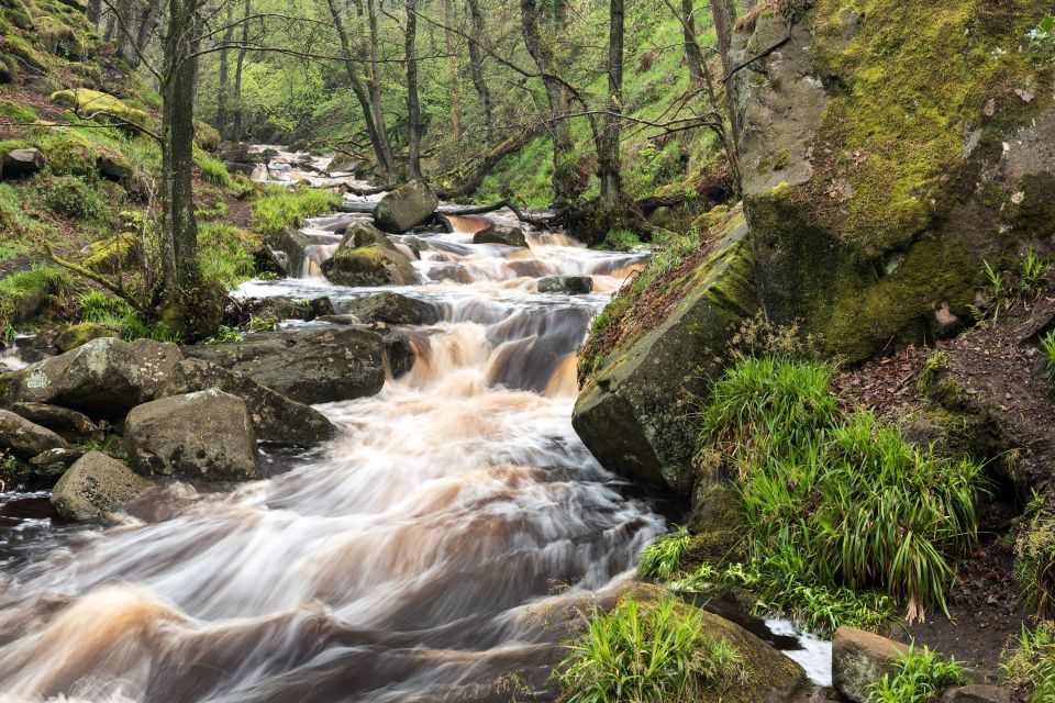 Padley Gorge, the peak district